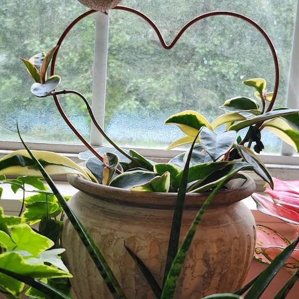 Mini Plant Trellis Set, Copper Arch Mini Trellis Set of 2, Minimal ...