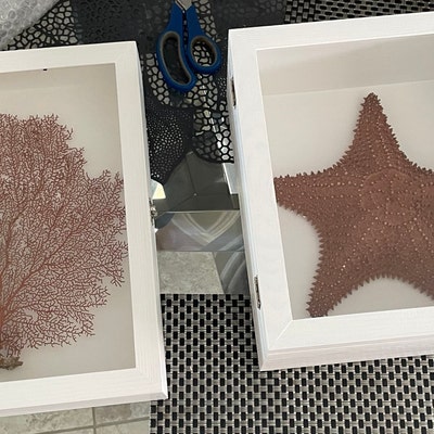 Extra Deep Large Wooden Shadow Box Frame With Glass Memories - Etsy