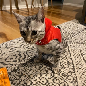 Reflective High Visibility Harness for Cat. Difficult to | Etsy