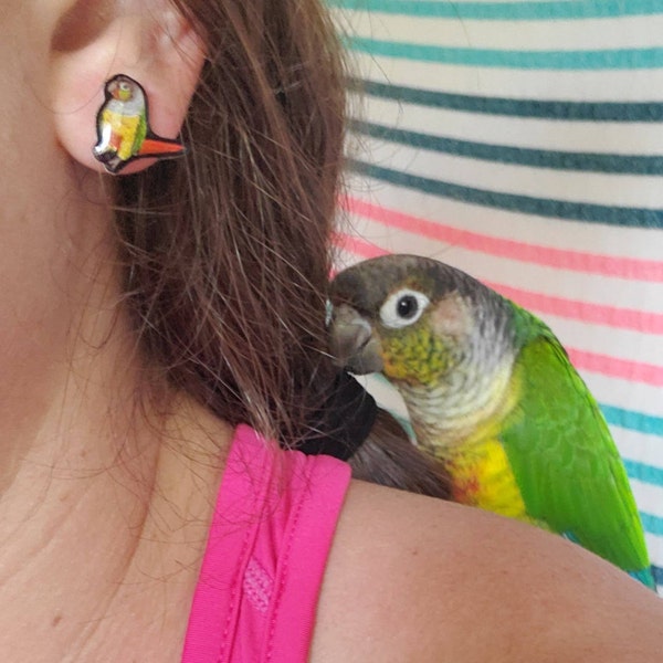 Conure Earring : Stainless Steel Posts for Sensitive Ears Great Gift ...