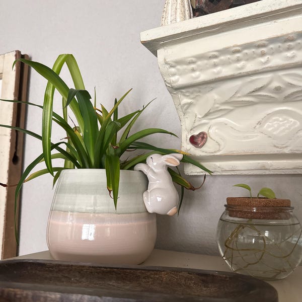 Bunny Rabbit Pot Hugger for Flower Pot • Gardening Gifts • Unique ...