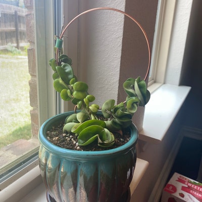 Copper Hoop Trellis, Full Moon Copper Houseplant Trellis, Plant Support ...