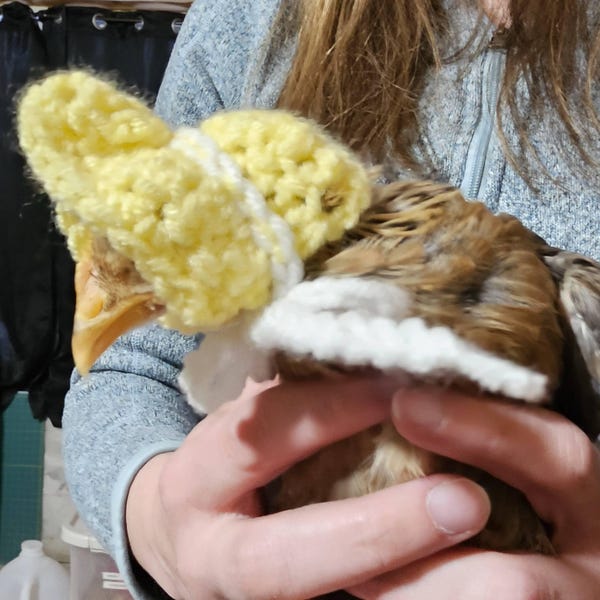 Crochet Pattern, Bonnet for Chickens, Sunday Bonnet, Little Red Hen Hat ...