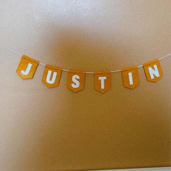 Pastel Felt Name Bunting Large Felt Flag Garland Girls Room Banner ...