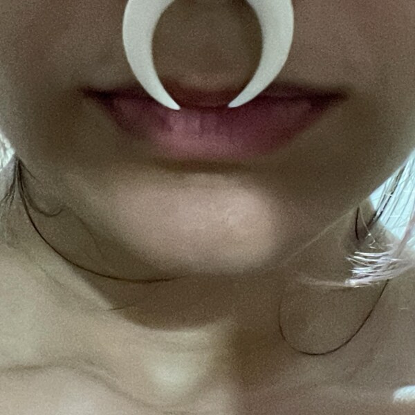 Bone Fake Gauge Pincher for Pierced Ears | Faux Ear Gauges | Fake ...