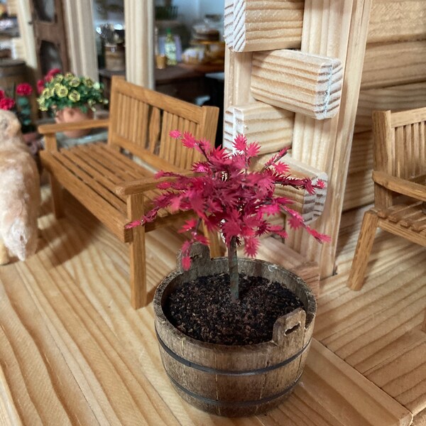 Coleus Plants, Miniature 1:12 Scale - Etsy