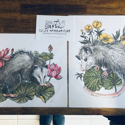 Print : Swamp Water Lilies Flowers and Opossum or Possum Habitat Series ...