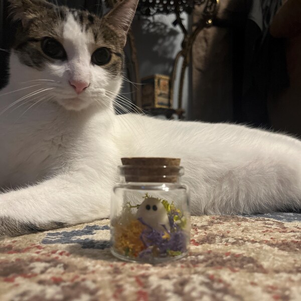 Pocket Hug, Little Stuffed Bear, First Day of Preschool, Back to School ...