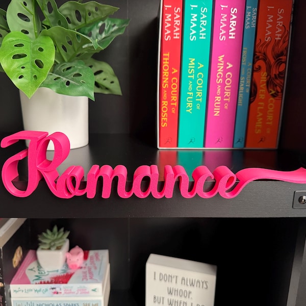 Romance Bookshelf Sign Library Book Lover Gift Custom Colors Book Club ...