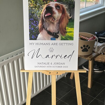 Cat Wedding Table Numbers Pet Table Names for Wedding - Etsy