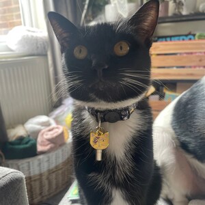 Kitty Stardust Artist Cat Collar | Etsy UK