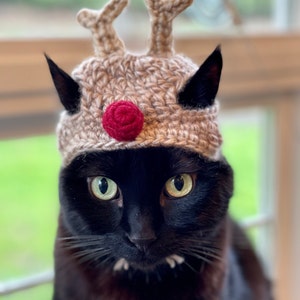 Crochet Pattern 059 Crown for Cat Crown for Small Dog Pet | Etsy