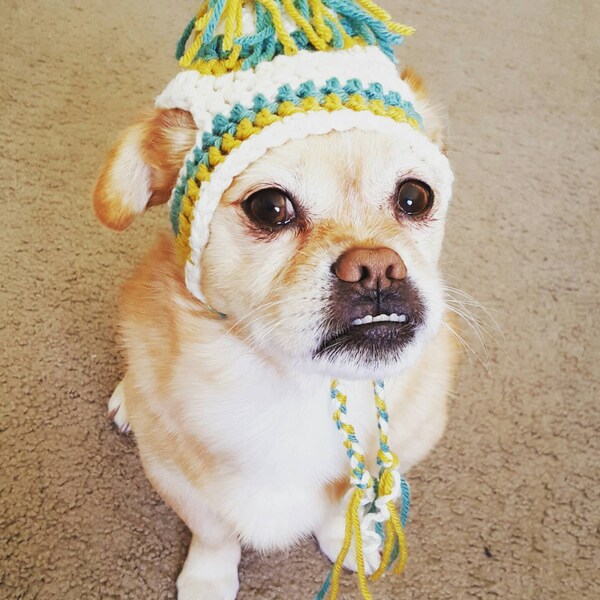 Instant Download - Crochet Pattern Earflap Dog Hat Small Dog Beanie - Etsy