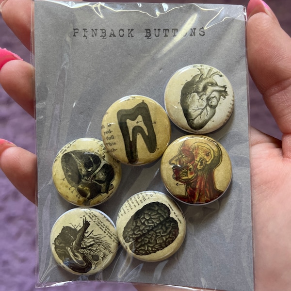 Vintage Anatomy 1 Inch Pinback Buttons Set of 6 ASSORTED - Etsy