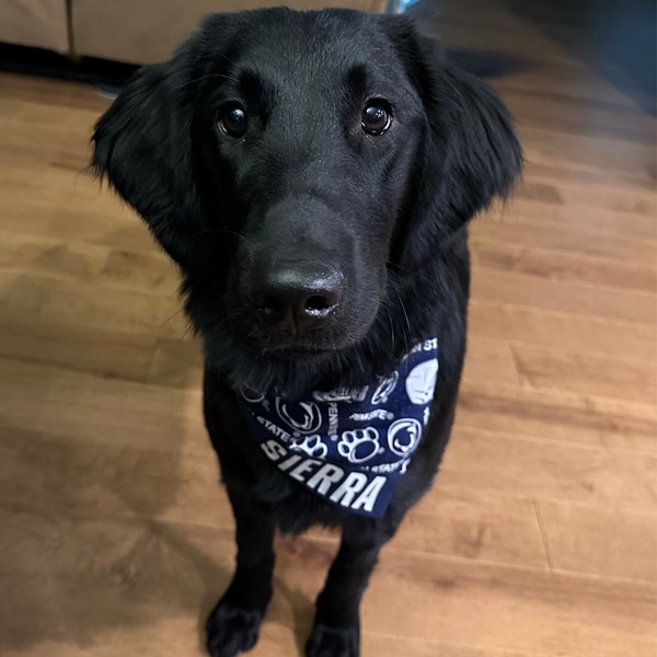 Penn State Dog Bandana: Personalized PSU Design - Etsy