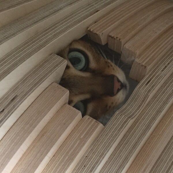 CAT-A-COMB, Cat Cave, Cat House, Cat Bed, Cat Furniture - Etsy