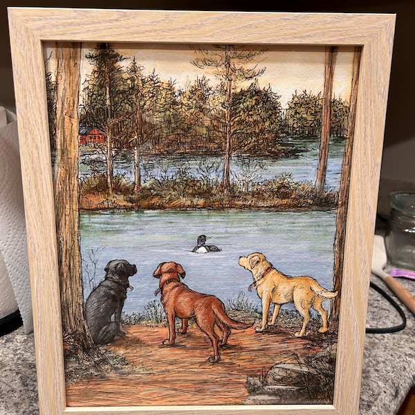 Yellow Labrador Retriever, Chocolate Labrador Retriever, Black Labrador ...
