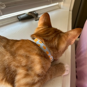 Gold Fish Cat Collar With Bell and Charm, Blue Breakaway Cat Collar ...