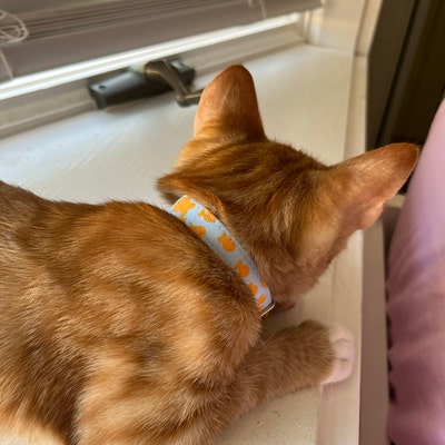 Gold Fish Cat Collar With Bell and Charm, Blue Breakaway Cat Collar ...