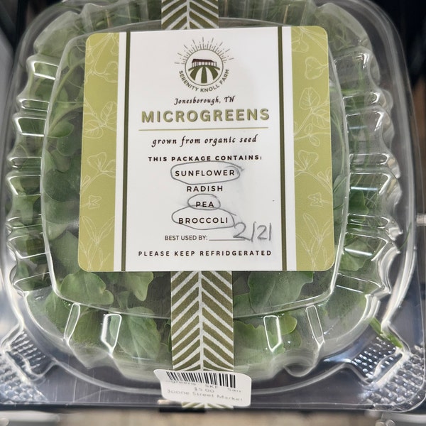 Snail Thank You Note Card - Snail Mail Thank You - Snail Trail Notecard ...