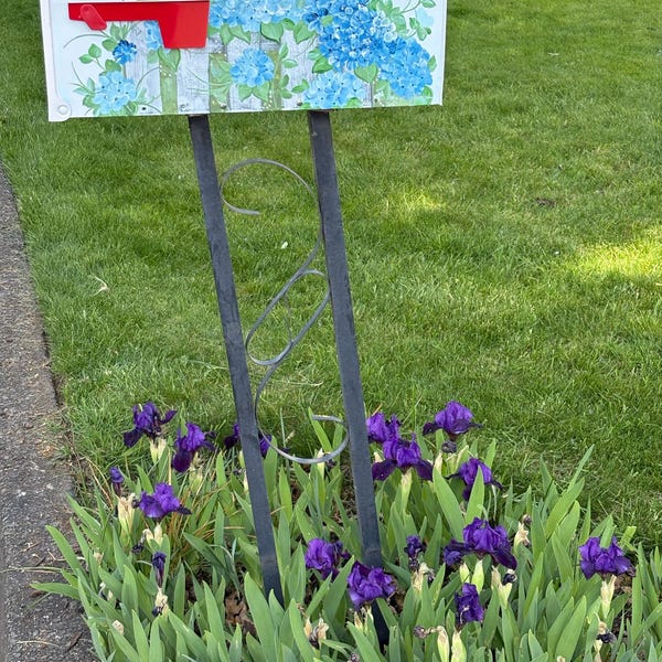 Custom Painted Mailboxes, Exotic Bird Art, Peacock Painting, Unique ...
