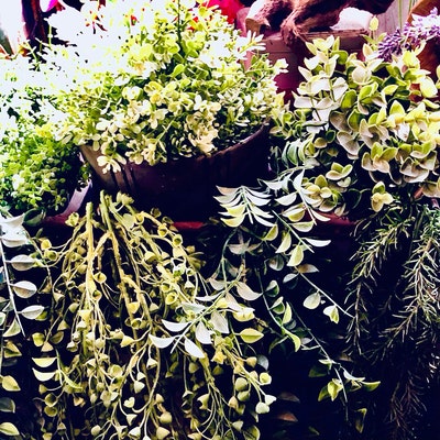 Atomic Hat and Coat Rack, 1950s Metal Coat Rail With Rack Above, French ...