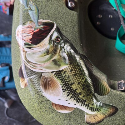 Mahi Chasing Bait Fish Fishing Color Decal 12 Boat, Car, Camper, Cooler ...