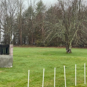 Dog Agility Equipment Weave Pole Guide Wires for 12 Weave Poles 10 ...