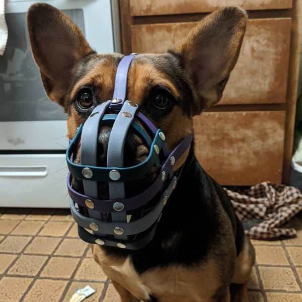 Biothane Basket Dog Muzzle With Forehead Strap Adjustable More Secure ...
