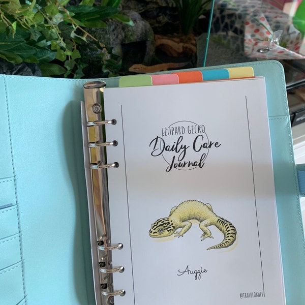 Coloring Page Leopard Gecko, Mandala, Printable Coloring Sheet, Digital ...