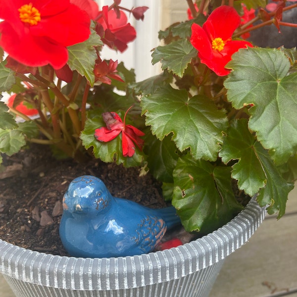 Fairy House “the Sprite’s Snicker Cottage“ / Fairy Garden Decoration ...