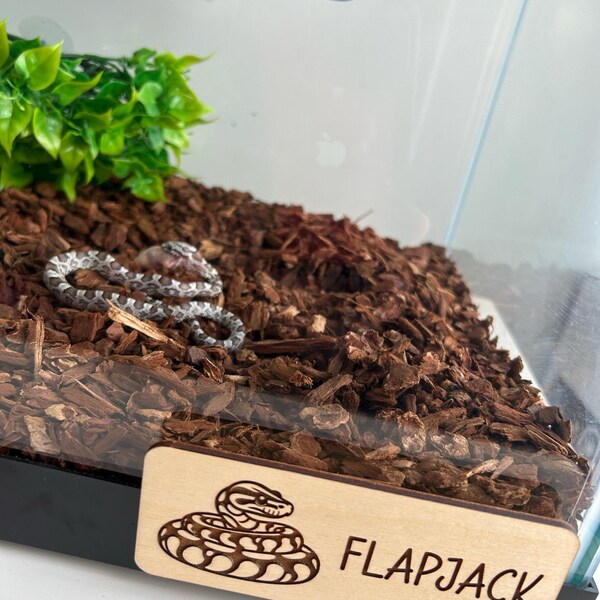 Border Collie Memorial Ornament, Border Collie Ornament, Border Collie ...