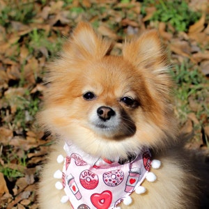 Pom Pom Add On - Etsy