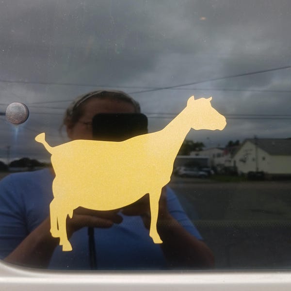 Show Steer-jackpot Steer-vinyl Decal-name Decal-personalized Decal ...