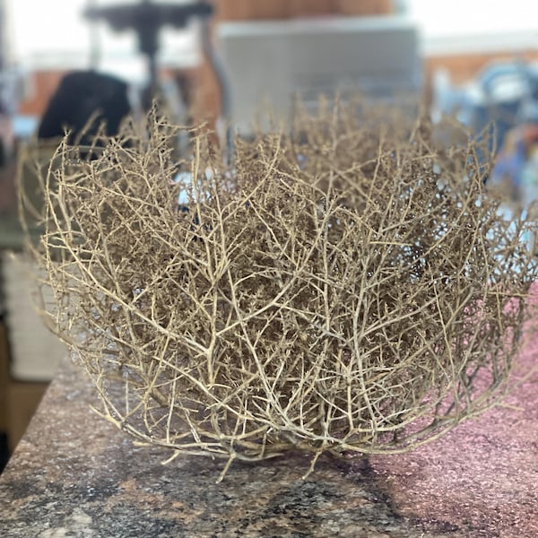 Tumbleweeds! ALL Sizes!!! Wedding Home Decor, Western Theme, Organic ...