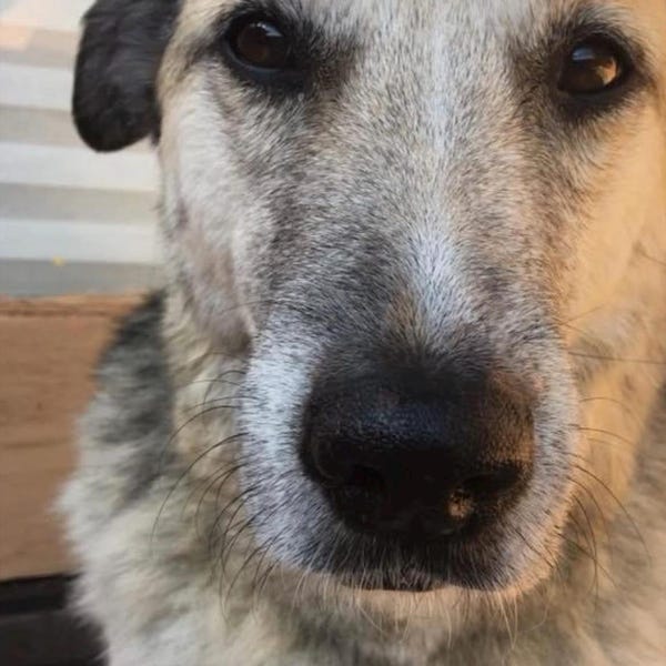 14K Real Gold Name Necklace, Nameplate Necklace, Personalized Jewelry ...