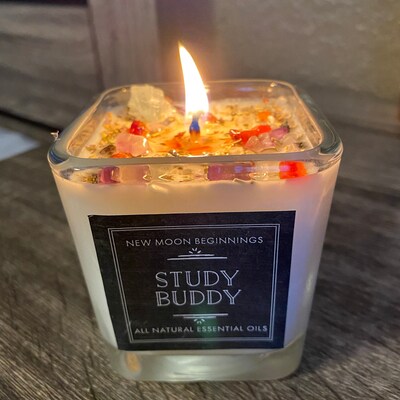 Study Buddy Candles Focus & Concentration Candle Soy - Etsy UK