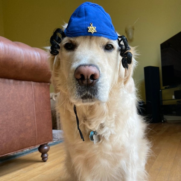 Hanukkah Dog Kippah With Star, Handmade Yarmulke Hat - Etsy