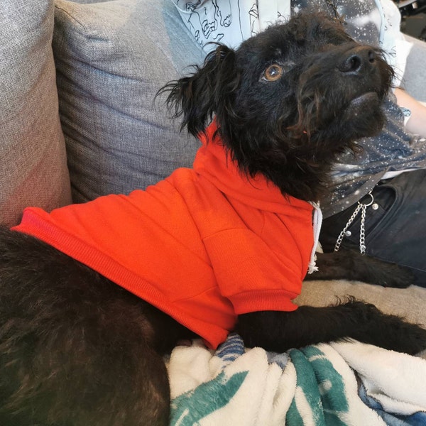 Red Dog Hoodie - Red Dog Sweater - Red Dog Jumper - Dog/puppy Clothing ...