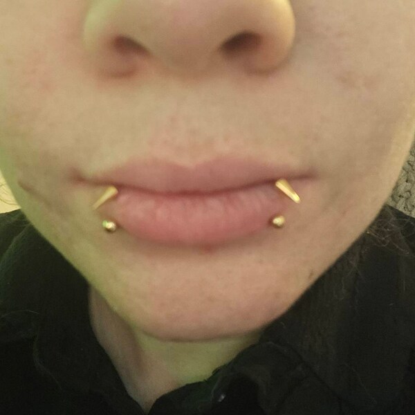 Titanium Surface Piercing, Dermal Piercing Implant - Internally ...