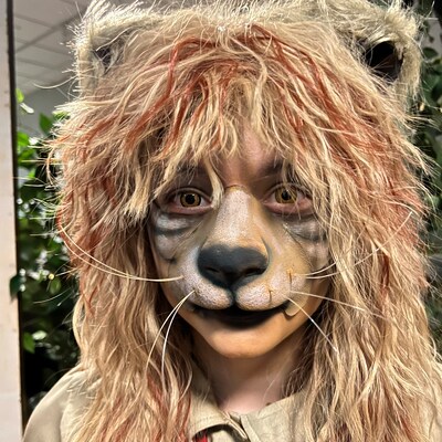 Ogre Shrek Pair of Green Latex Ears Additional Makeup - Etsy