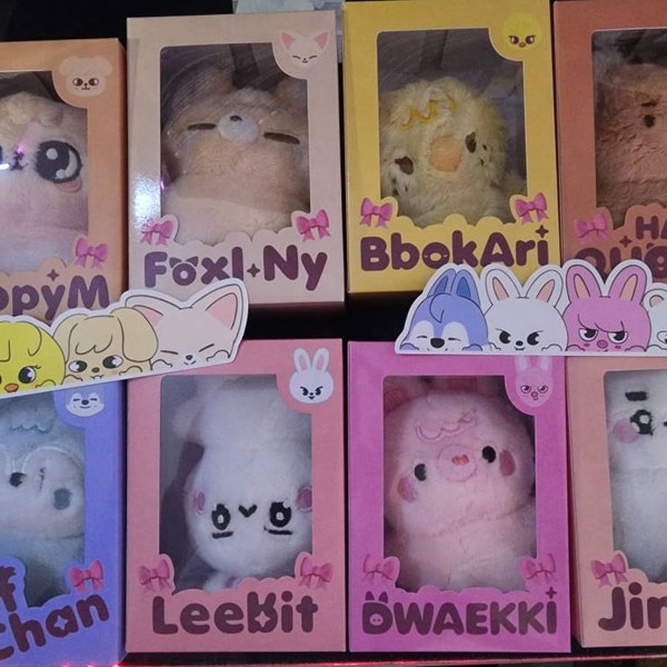 Box Only. Stray Kids SKZOO Box 10cm Plush Fanmade BOX [BOX Only] - Etsy