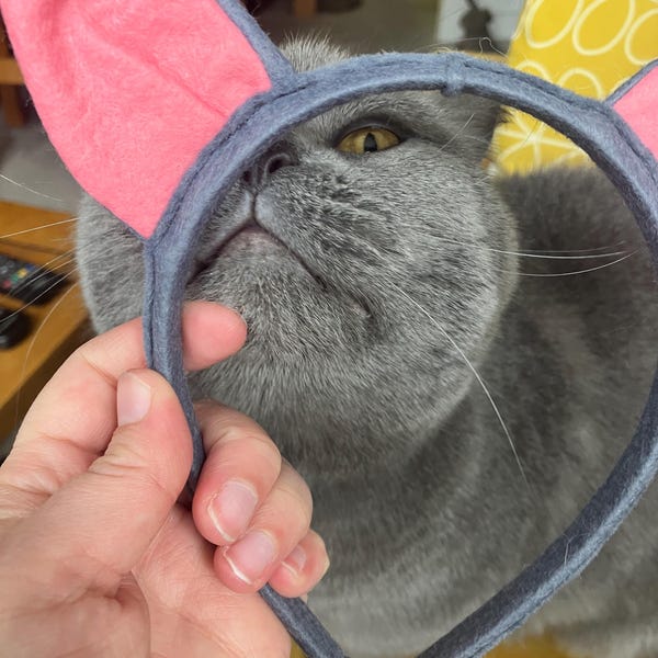 Clip on Mouse Tail Made of Pink Felt Suitable for Children and Adults ...