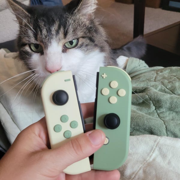 Zelda TOTK - RGB Led - Glow in the Dark - Custom Pro Controller for the ...