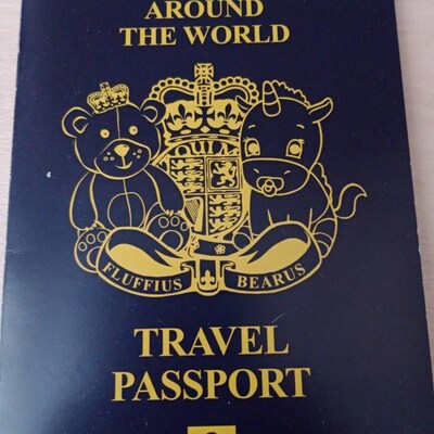 Toy Passport personalised Including Photo - Etsy