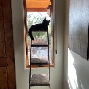 Cat Ladder 8 Step Cherry Hardwood Lets Cats Climb Indoors to Reach New ...