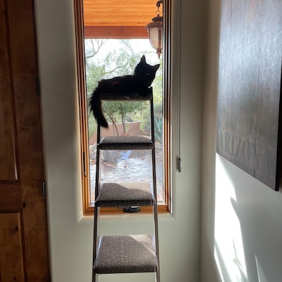 Cat Ladder 3 Step Cherry Hardwood Handcrafted High-quality Ladder for ...