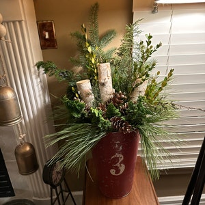 Birch Bundle of Logs 10 Free Shipping - Etsy