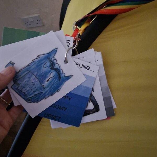 The Colour Monster Emotions Flash Cards - Etsy UK