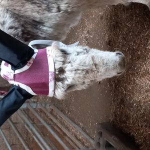 Goat/sheep Fly Masks With & W/o Horns Dual Adjustable Made to Order - Etsy